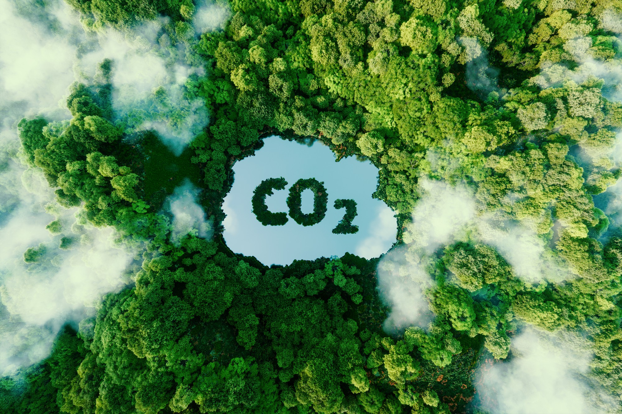 O que é CO2 equivalente? | ENFORM